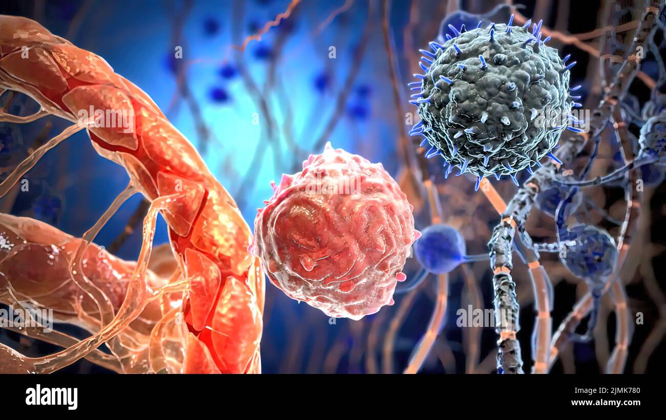 Cell surface proteins hi-res stock photography and images - Alamy