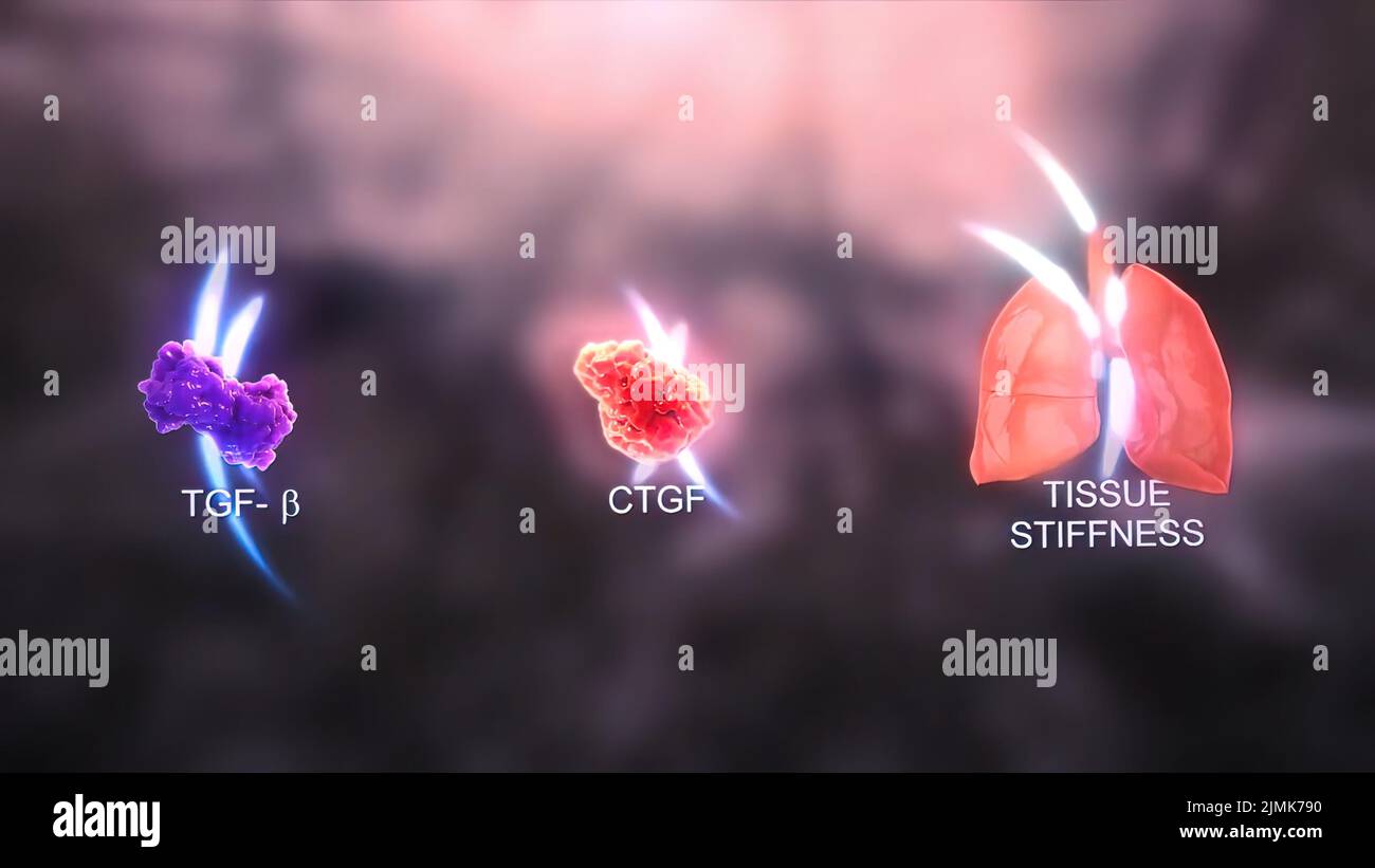 Differentiation therapy hi-res stock photography and images - Alamy