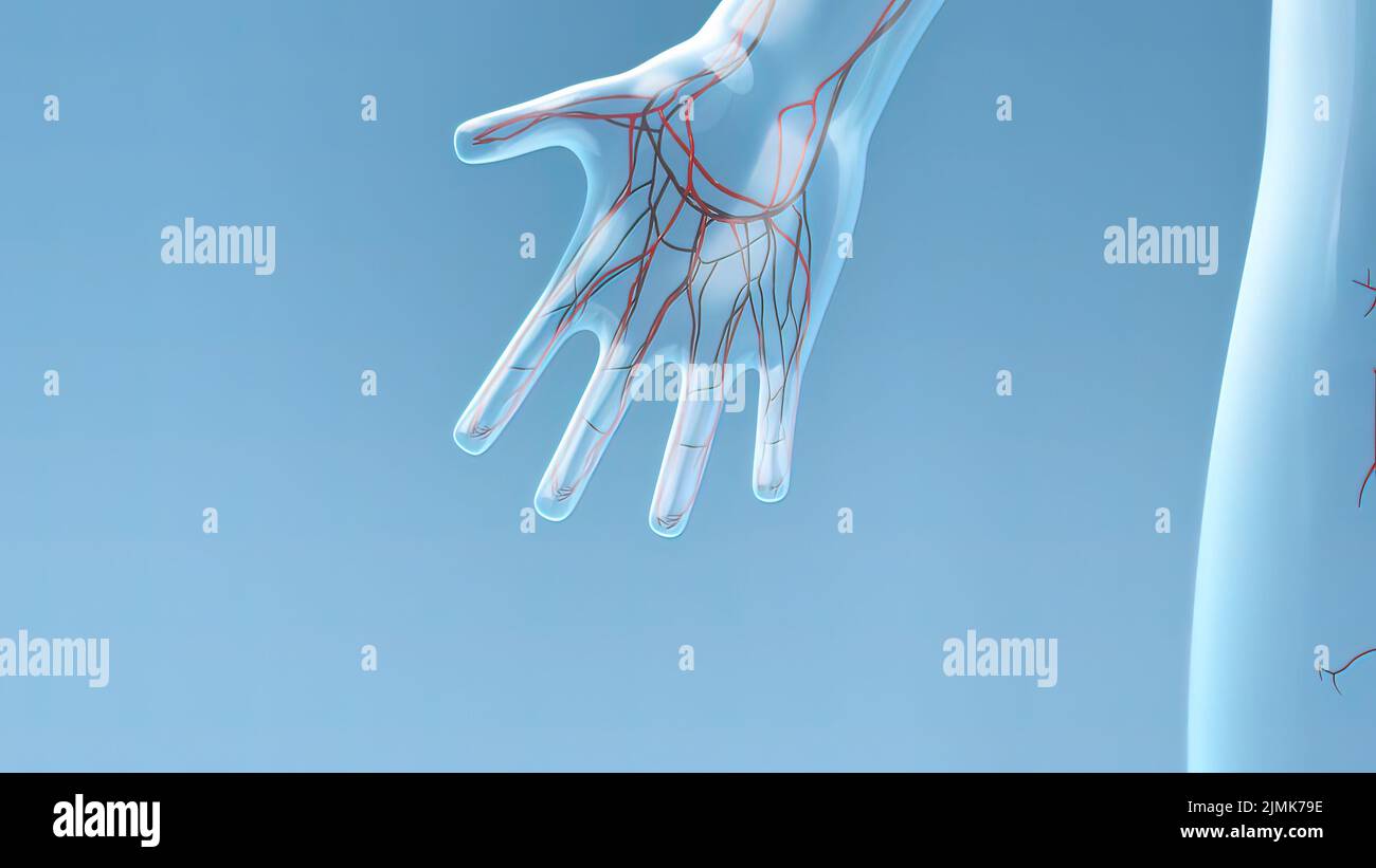 Healthy capillary hi-res stock photography and images - Alamy