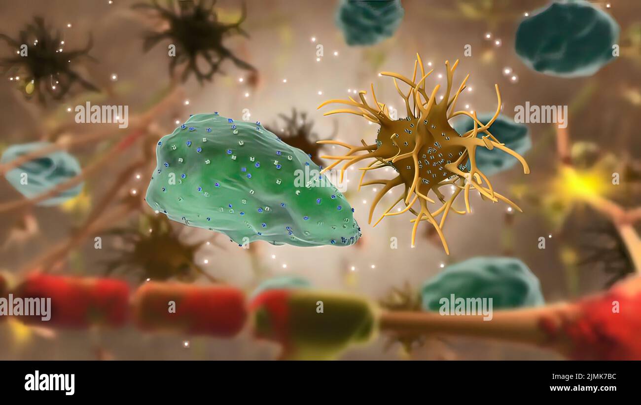 Healthy central nervous system hi-res stock photography and images - Alamy