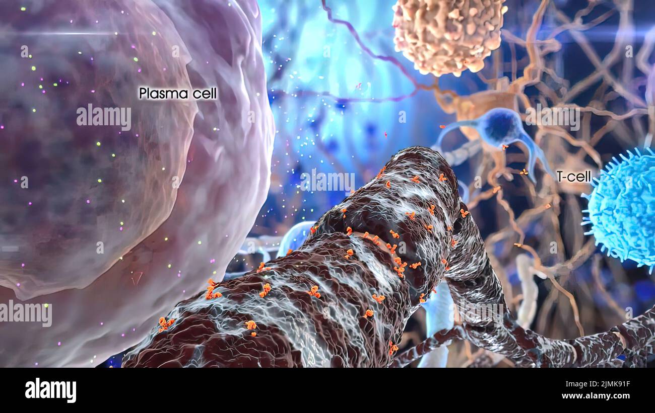 Blood cancer cell hi-res stock photography and images - Alamy