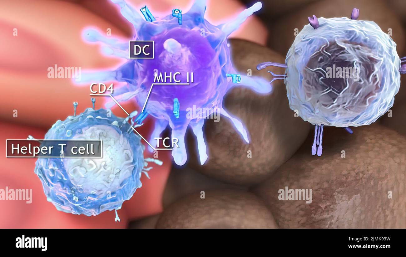 Tumor cells t cells hi-res stock photography and images - Alamy