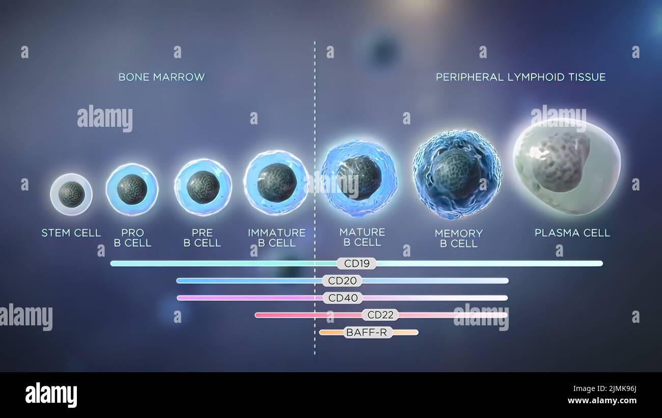 Sorting structure hi-res stock photography and images - Alamy