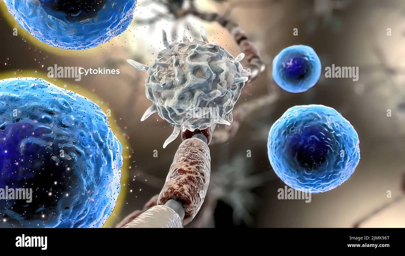 Immune mechanism hi-res stock photography and images - Alamy