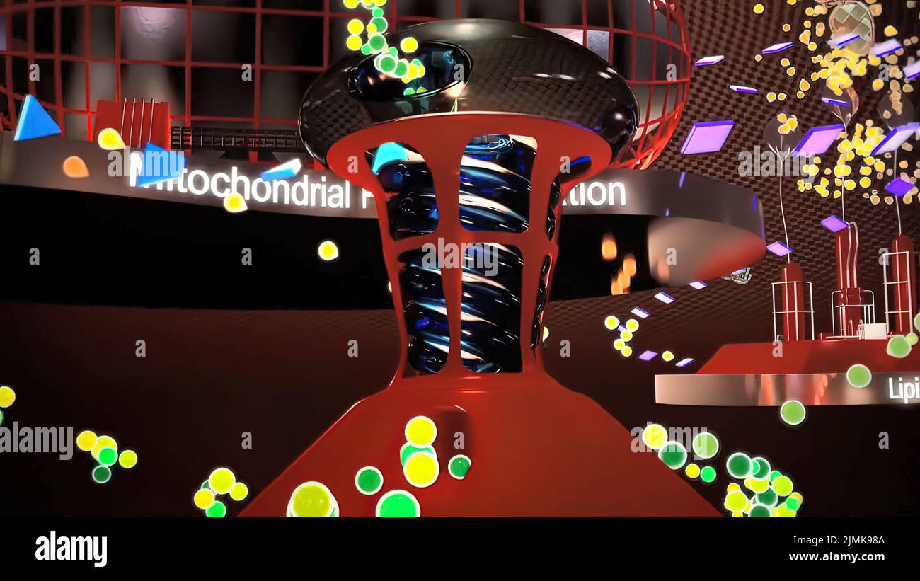 Human reproduction process hi-res stock photography and images - Alamy