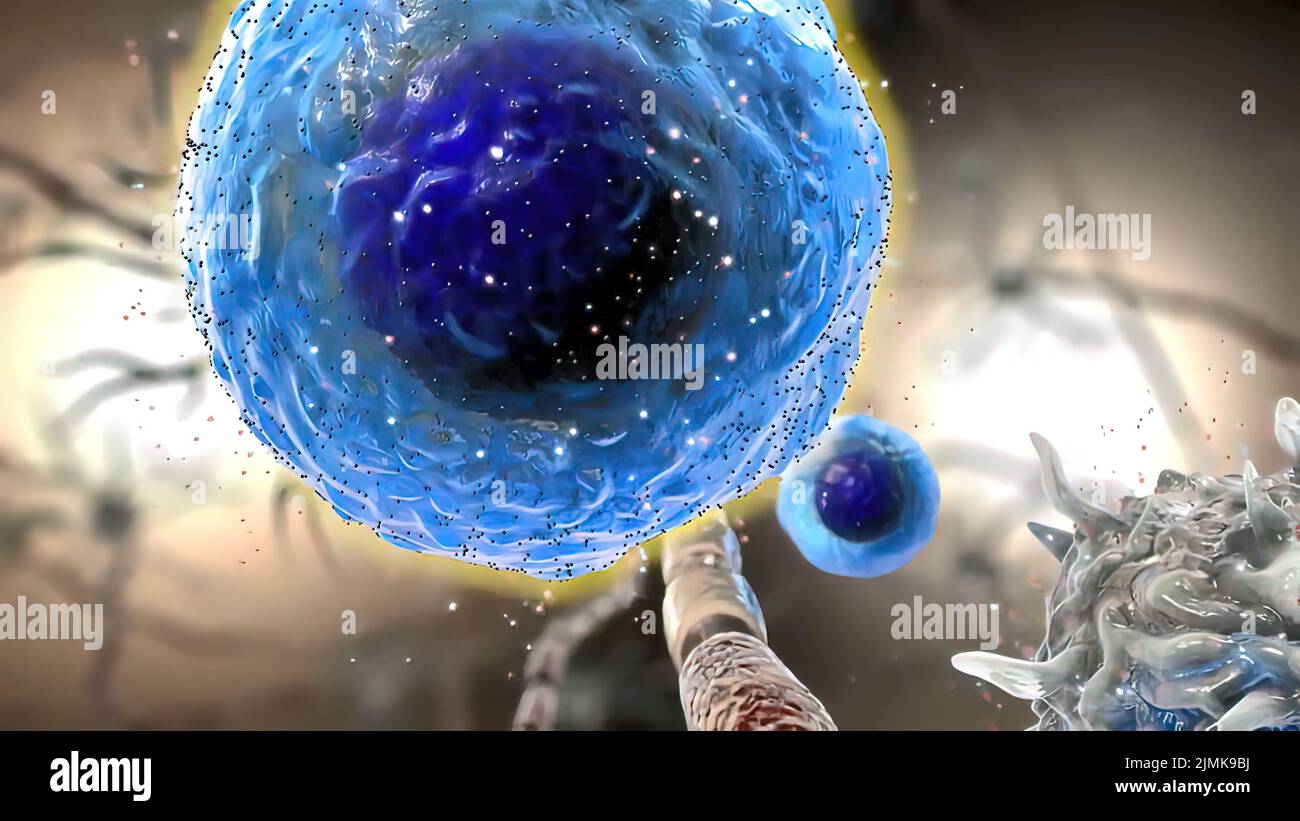 Cytokine hi-res stock photography and images - Alamy