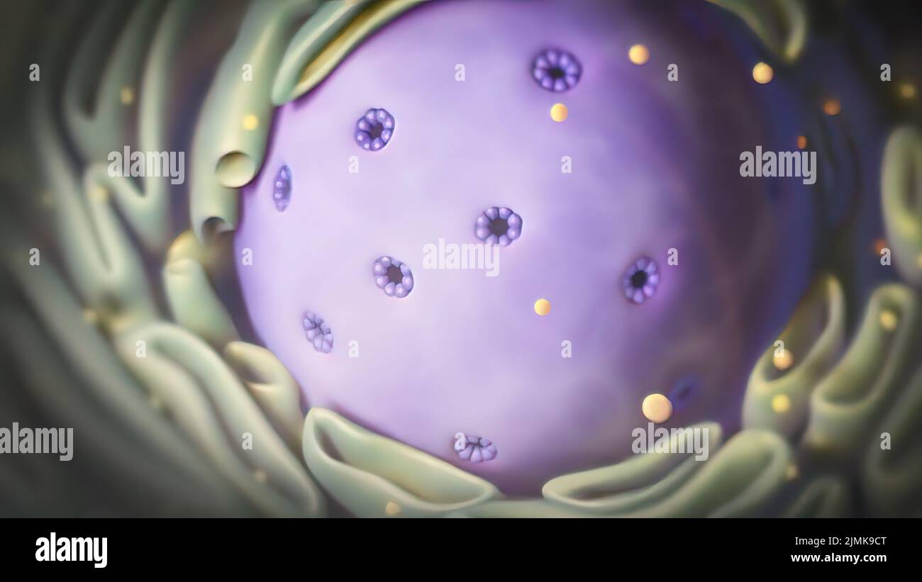 Chromosome chromatin human hi-res stock photography and images - Alamy