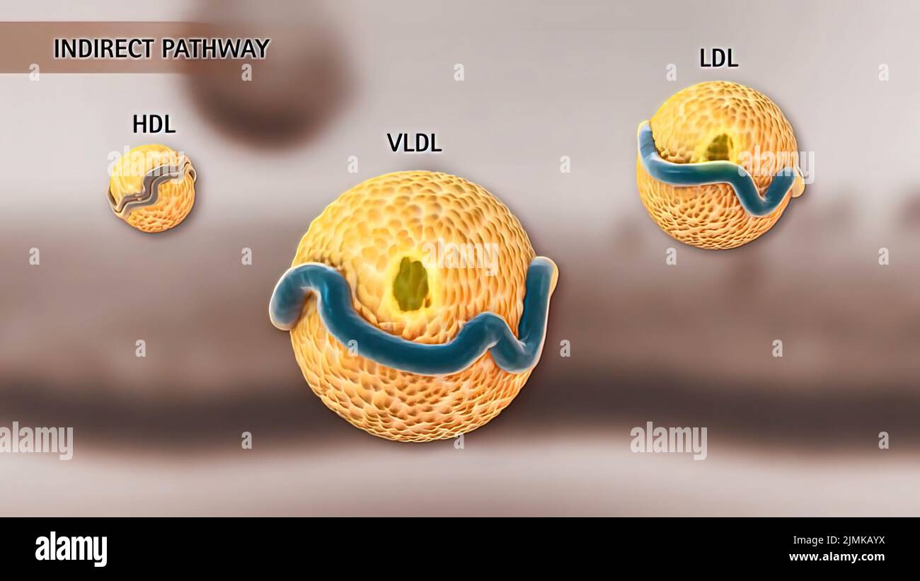 High cholesterol molecule hi-res stock photography and images - Alamy