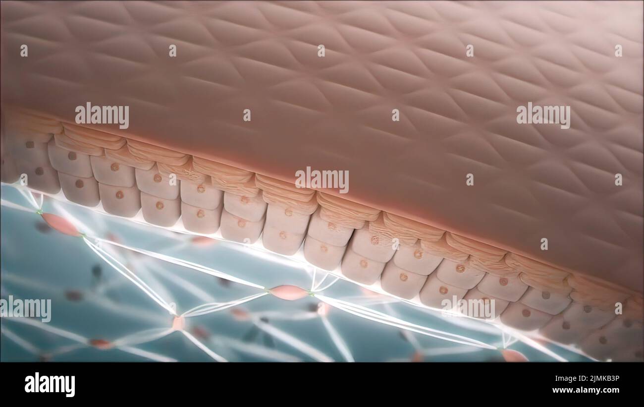 Tissue damage hi-res stock photography and images - Alamy