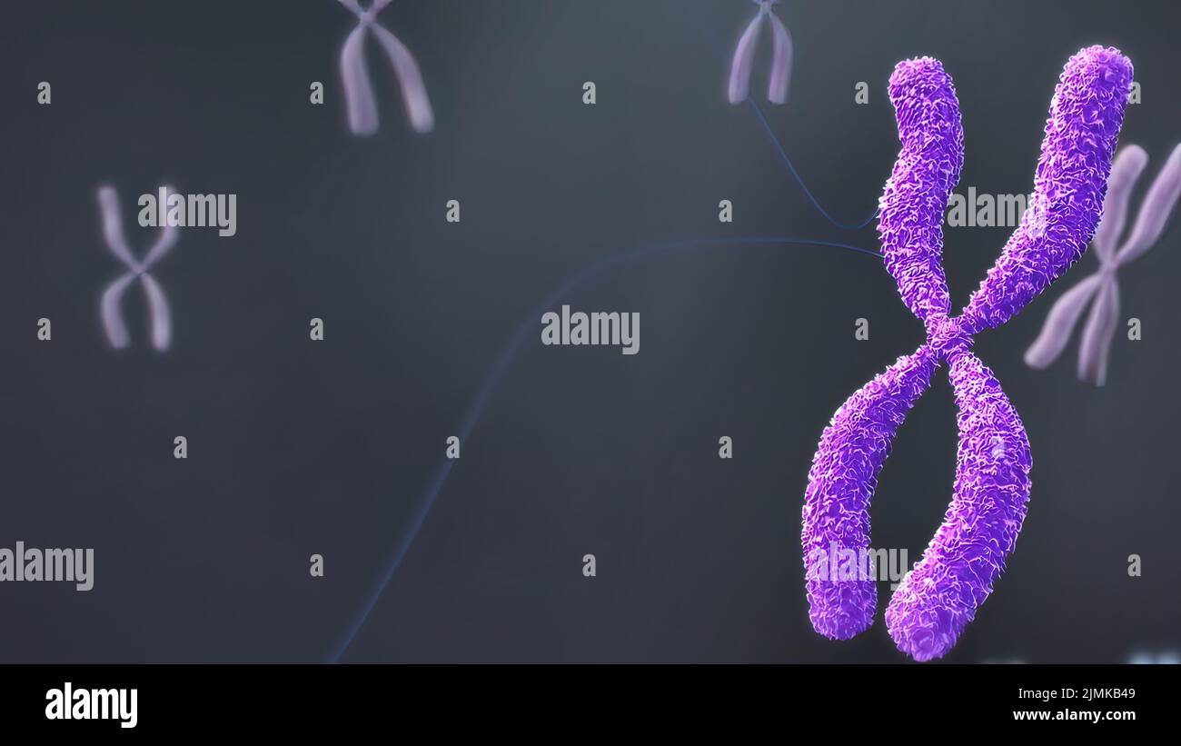Chromosome disease hi-res stock photography and images - Alamy