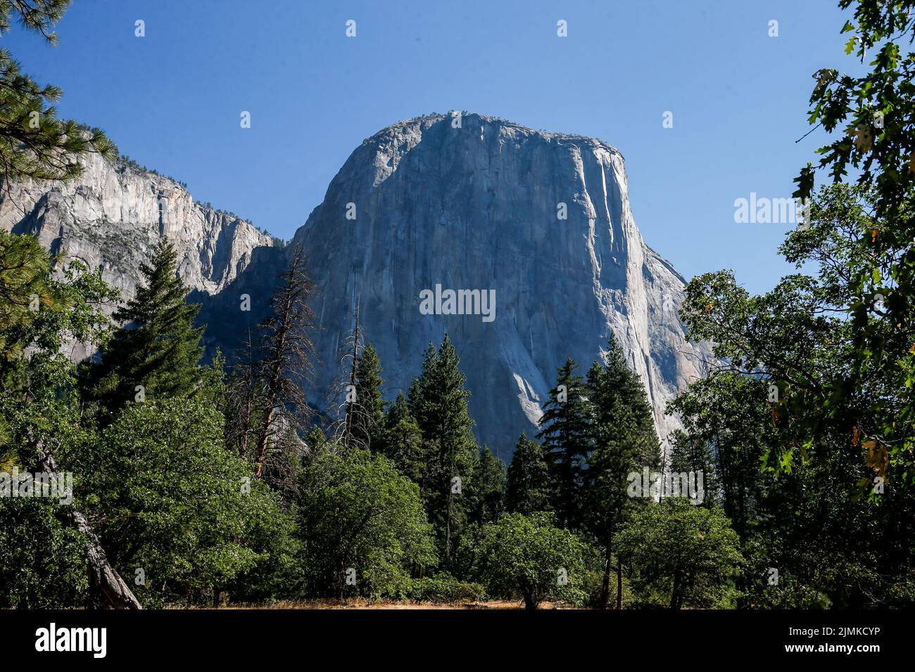California, United States. 03rd Aug, 2022. The landscape of Yosemite ...