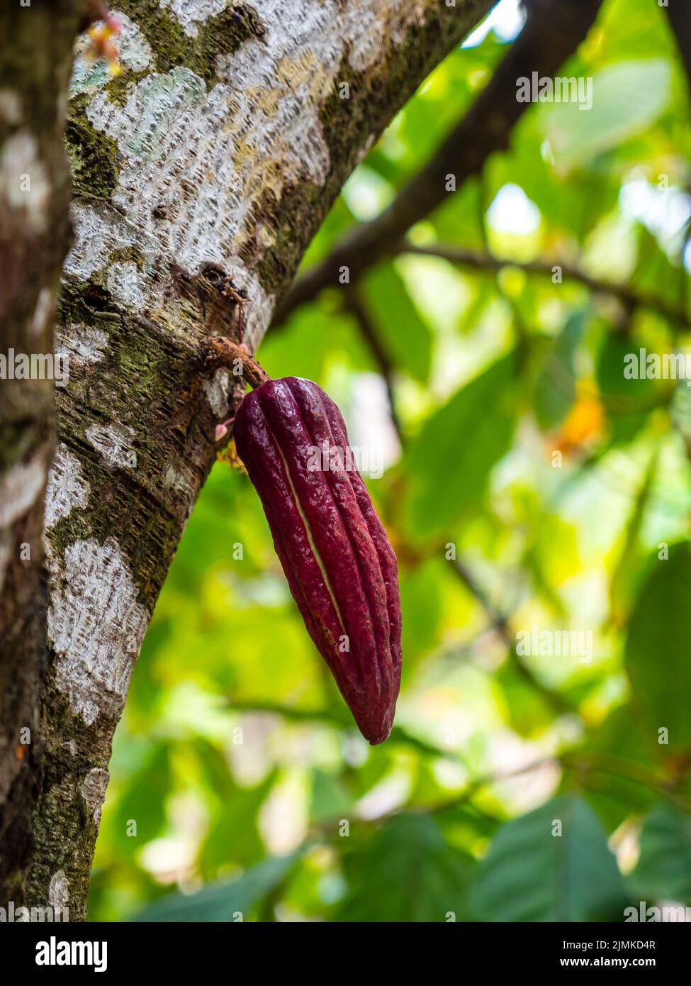 Cutbert Peters Park Stock Photo - Alamy