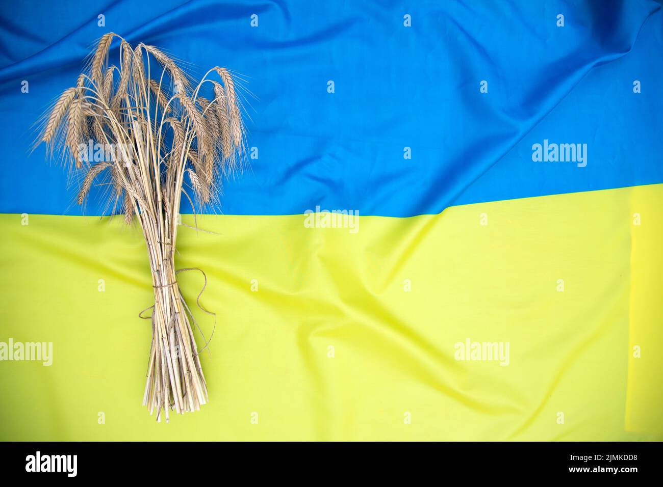 Grain harvest, ukrainian flag, ears of wheat, rye, oats. Symbol of ...