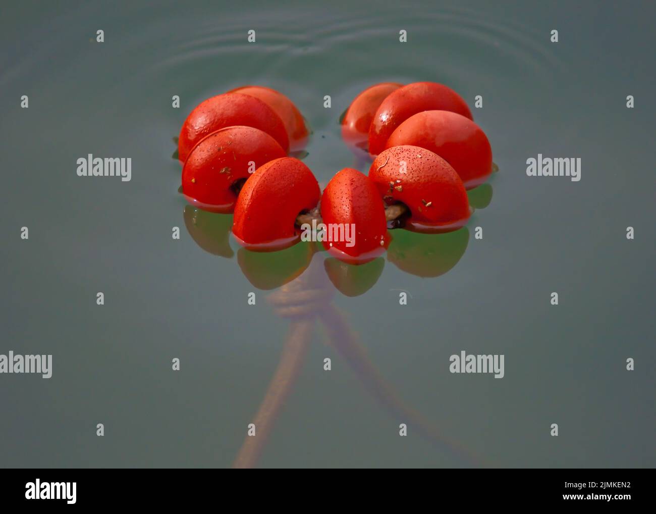 Fisherman fishing in red hi-res stock photography and images - Alamy