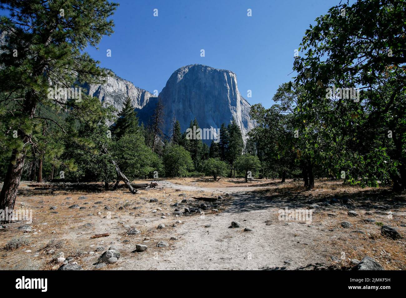 California, USA. 3rd Aug, 2022. The landscape of Yosemite National Park ...