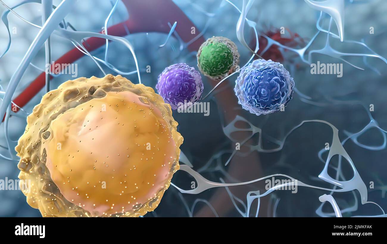 Microscope bacteria divide hi-res stock photography and images - Alamy