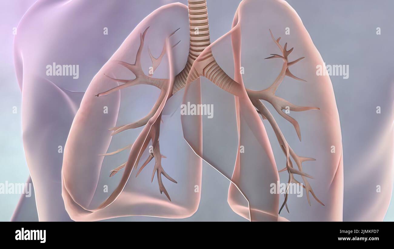 Copd hospital nurse hi-res stock photography and images - Alamy