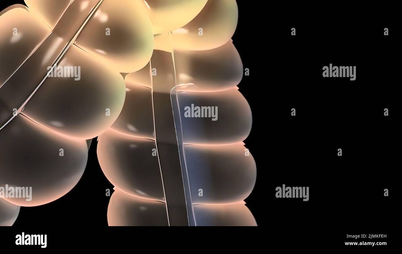 Colonoscopy biopsy hi-res stock photography and images - Alamy