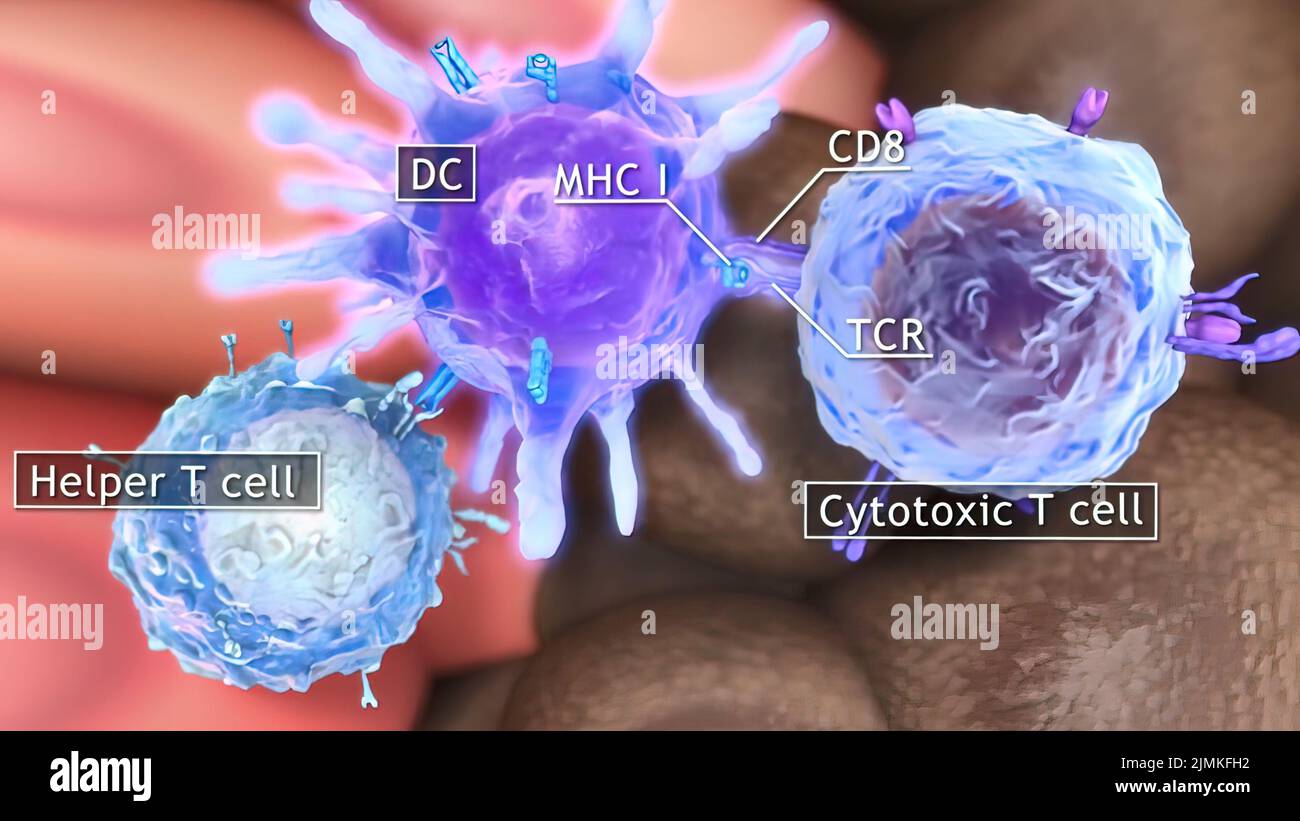 Tumor cells t cells hi-res stock photography and images - Alamy