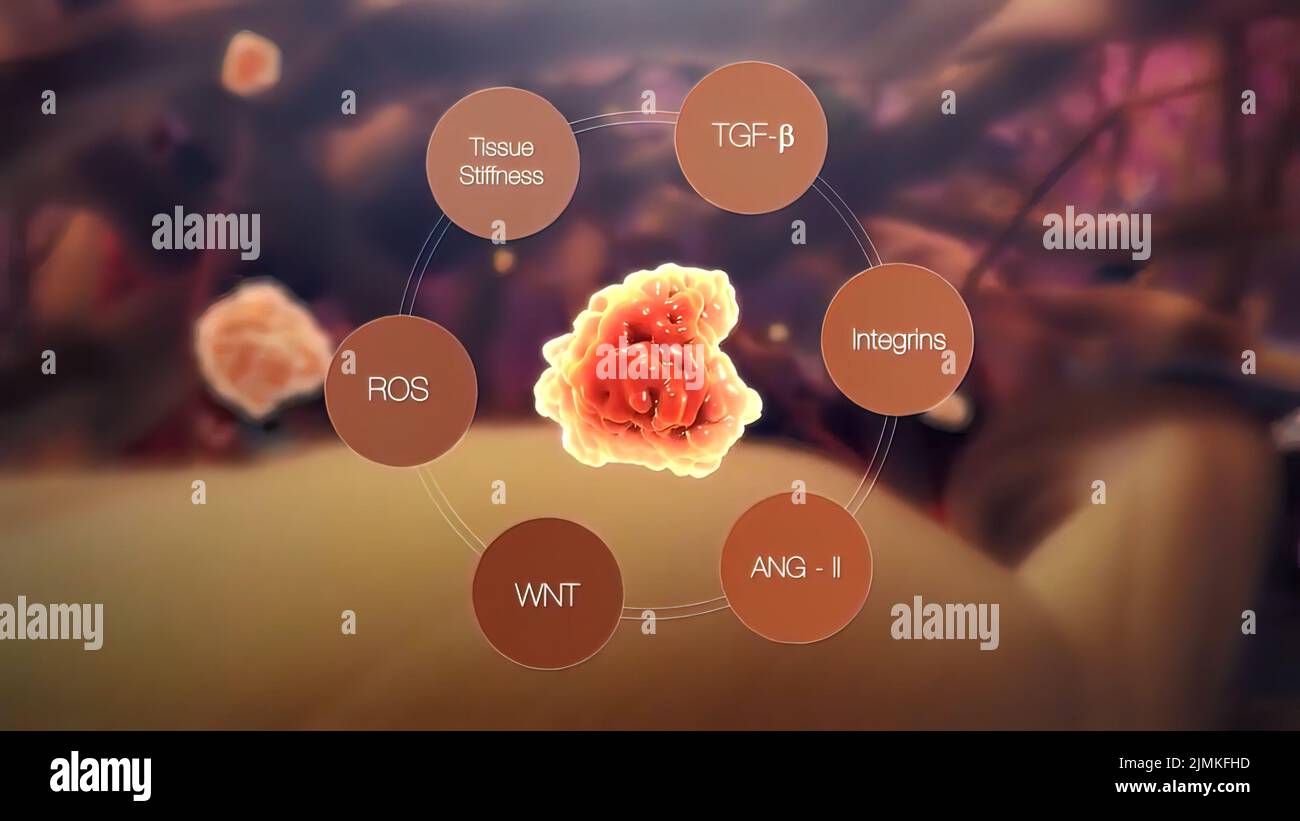 Differentiation therapy hi-res stock photography and images - Alamy