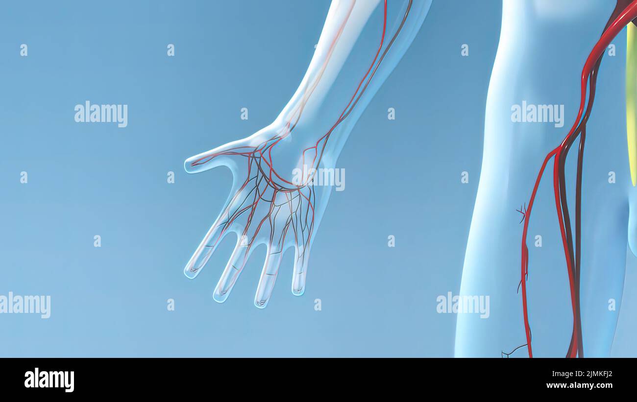 Healthy capillary hi-res stock photography and images - Alamy