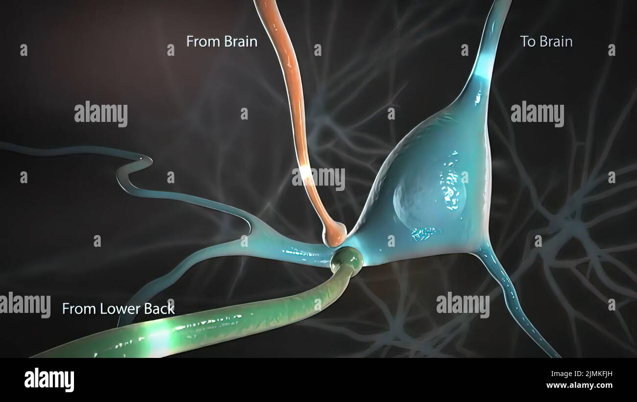 Brainwaves light hi-res stock photography and images - Alamy
