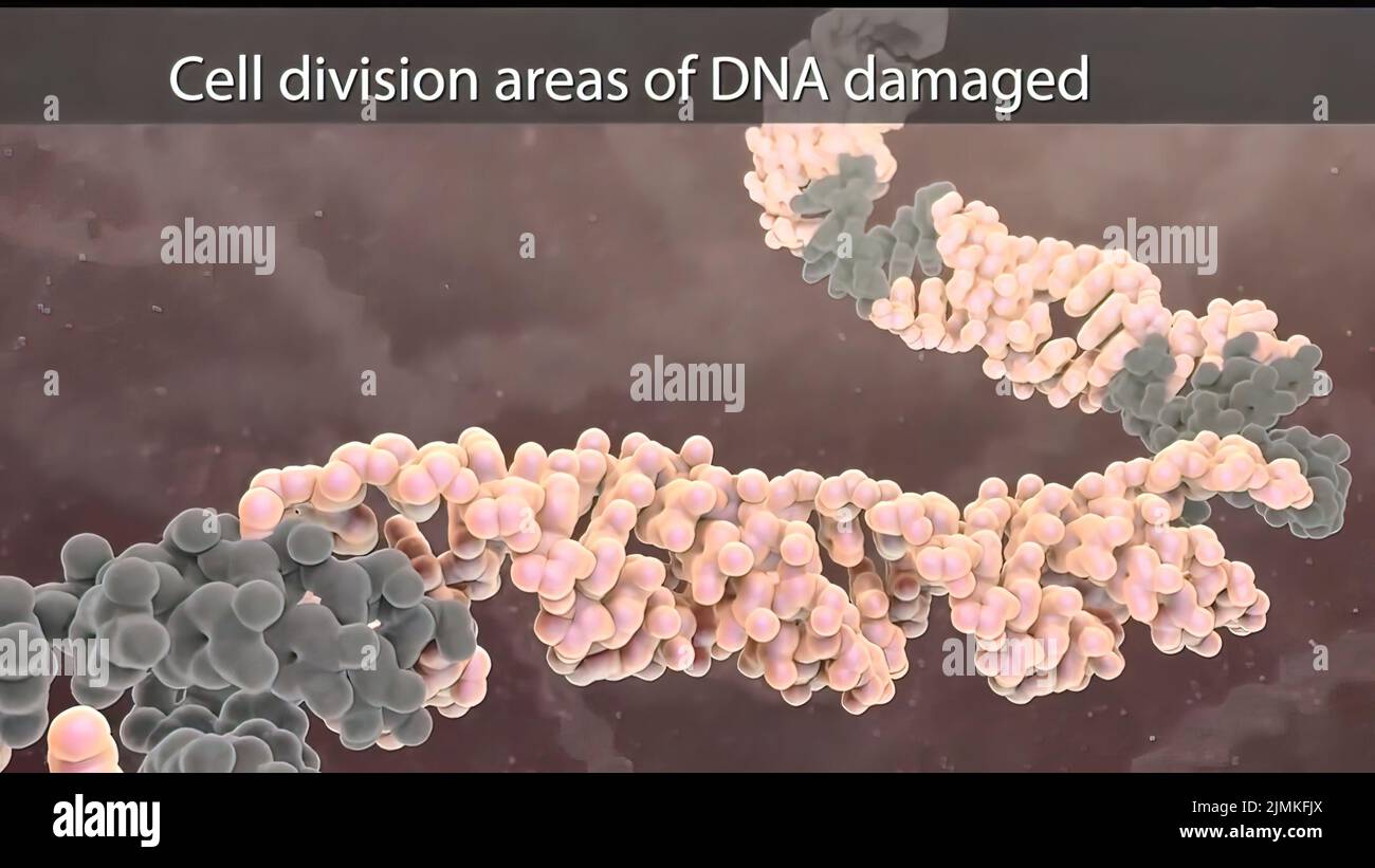 Chromosome cell division hi-res stock photography and images - Alamy