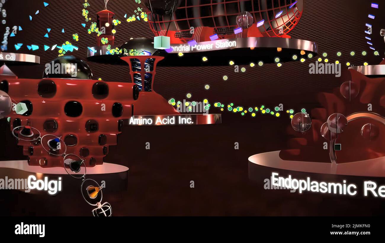 Reproduction process hi-res stock photography and images - Alamy