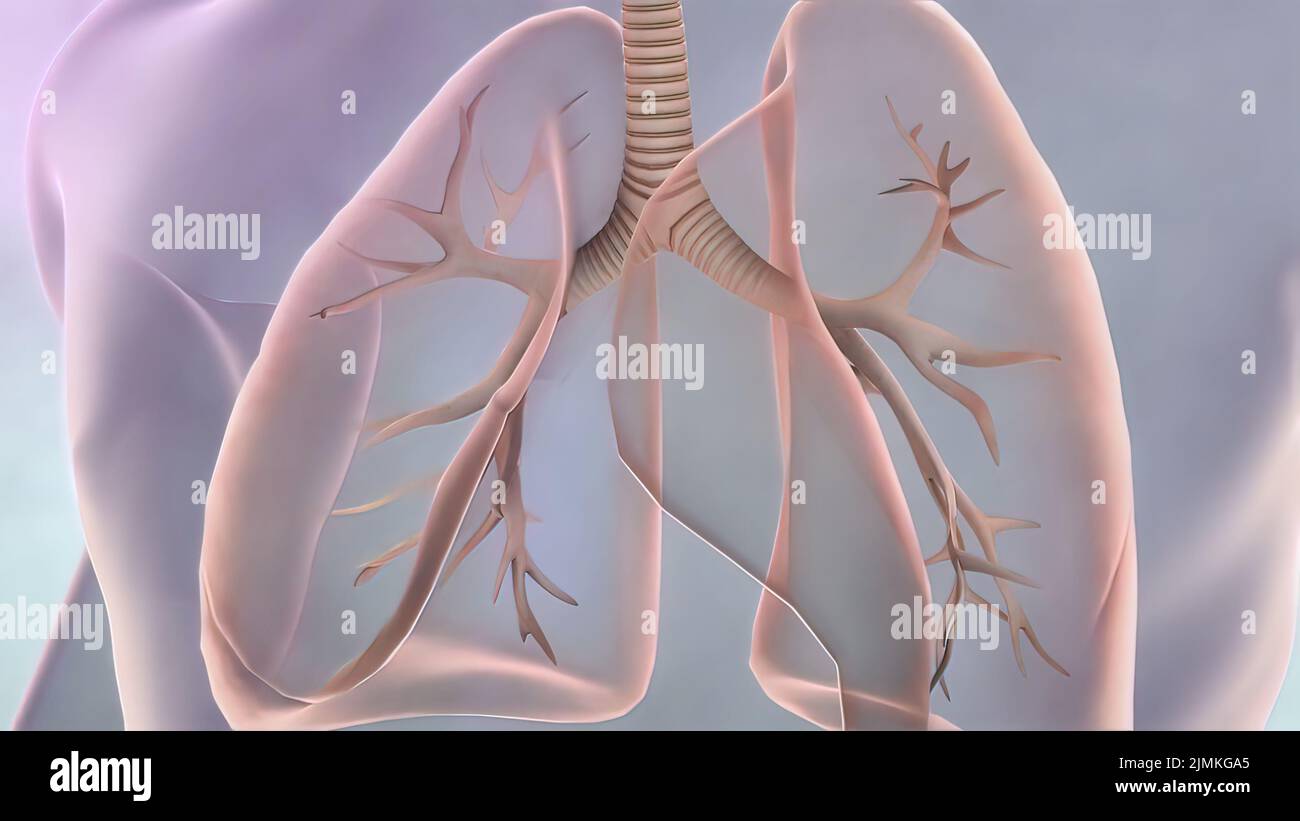 World copd day hi-res stock photography and images - Alamy