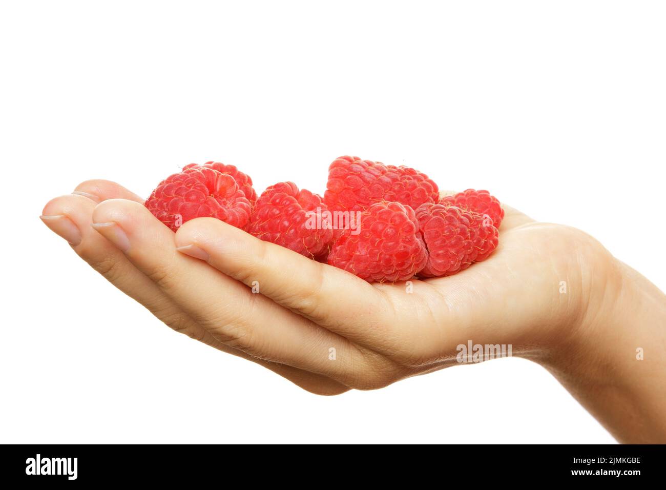 Female hand full of aspberries on white background Stock Photo - Alamy