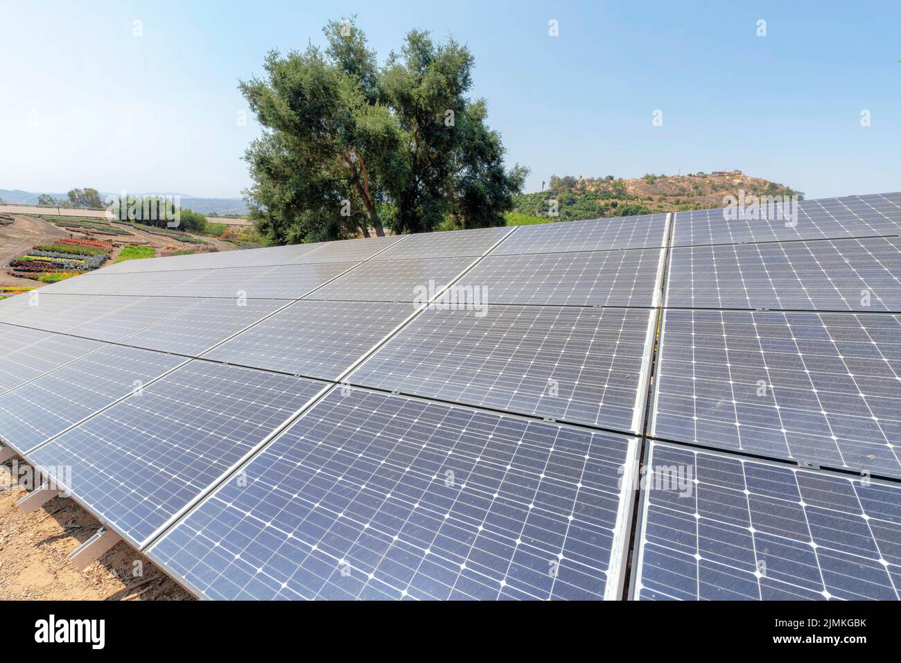 Solar panels in a large botanical garden with trees and organized ...