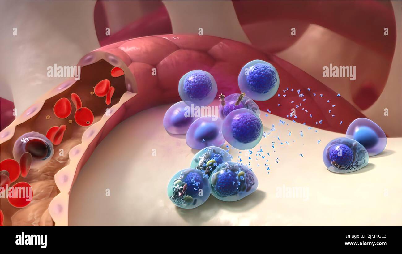 Cell culture cancer hi-res stock photography and images - Alamy