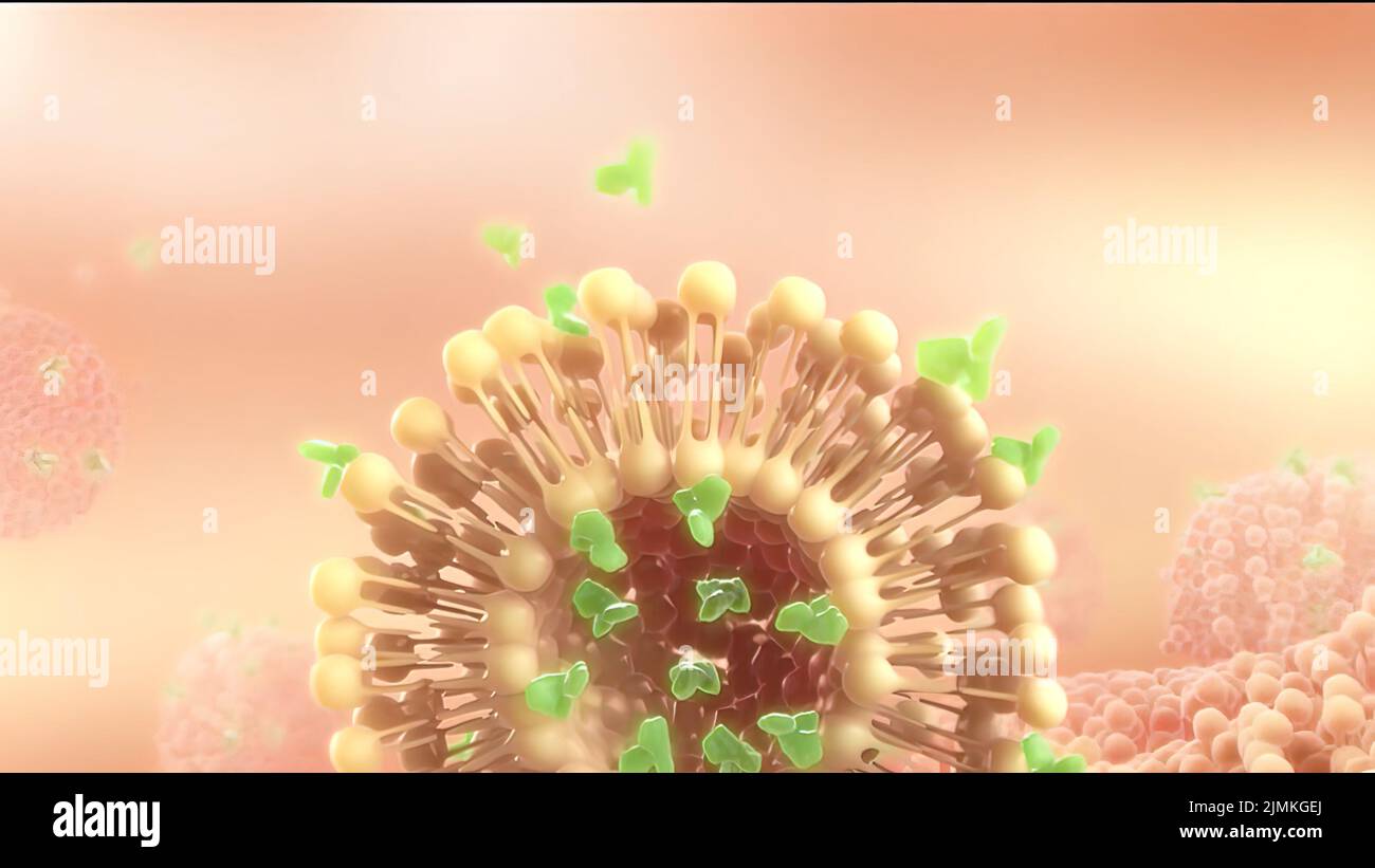 Cellular formation hi-res stock photography and images - Alamy