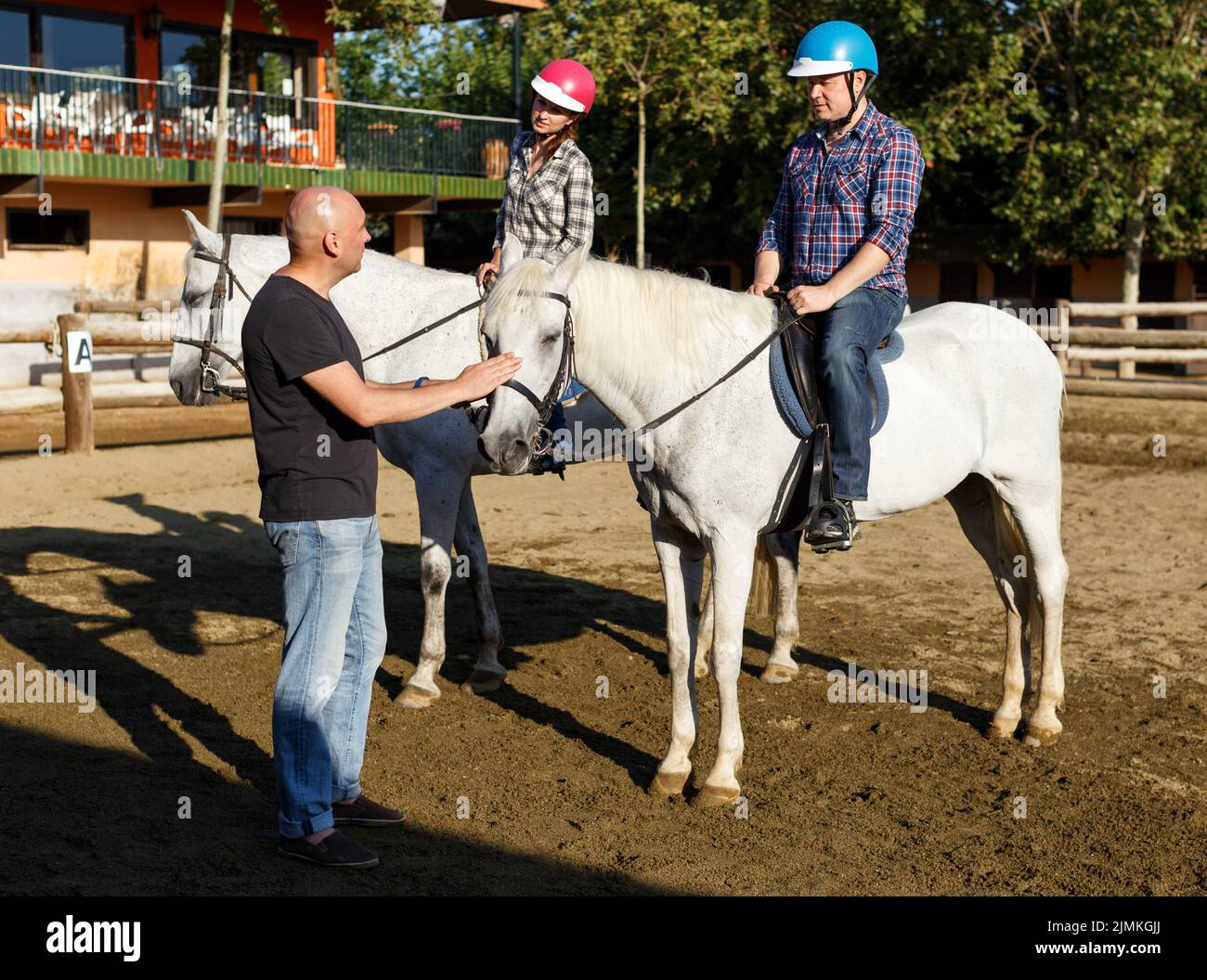 Adult guiding horse hi-res stock photography and images - Alamy