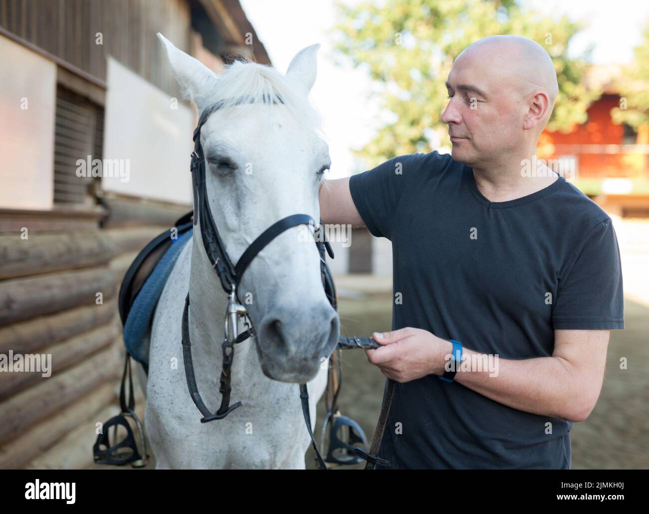 Mature smiling man farmer standing with white horse at stable Stock ...
