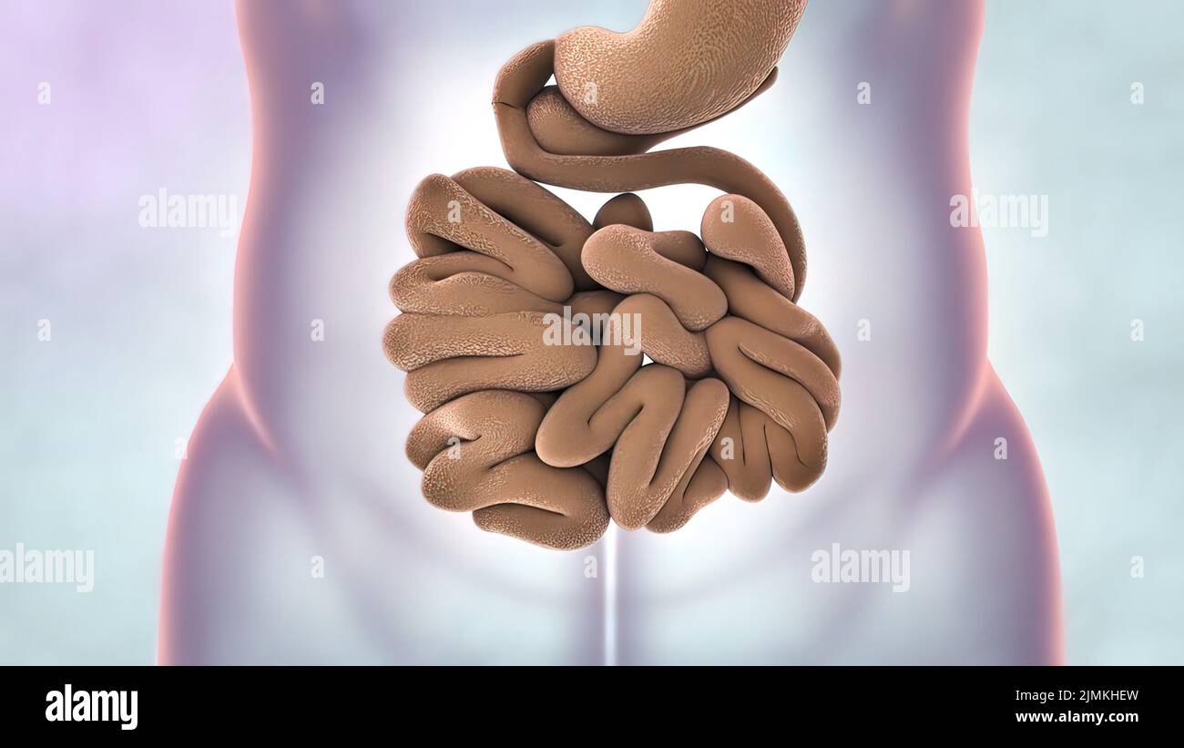 Bowel motion hi-res stock photography and images - Alamy