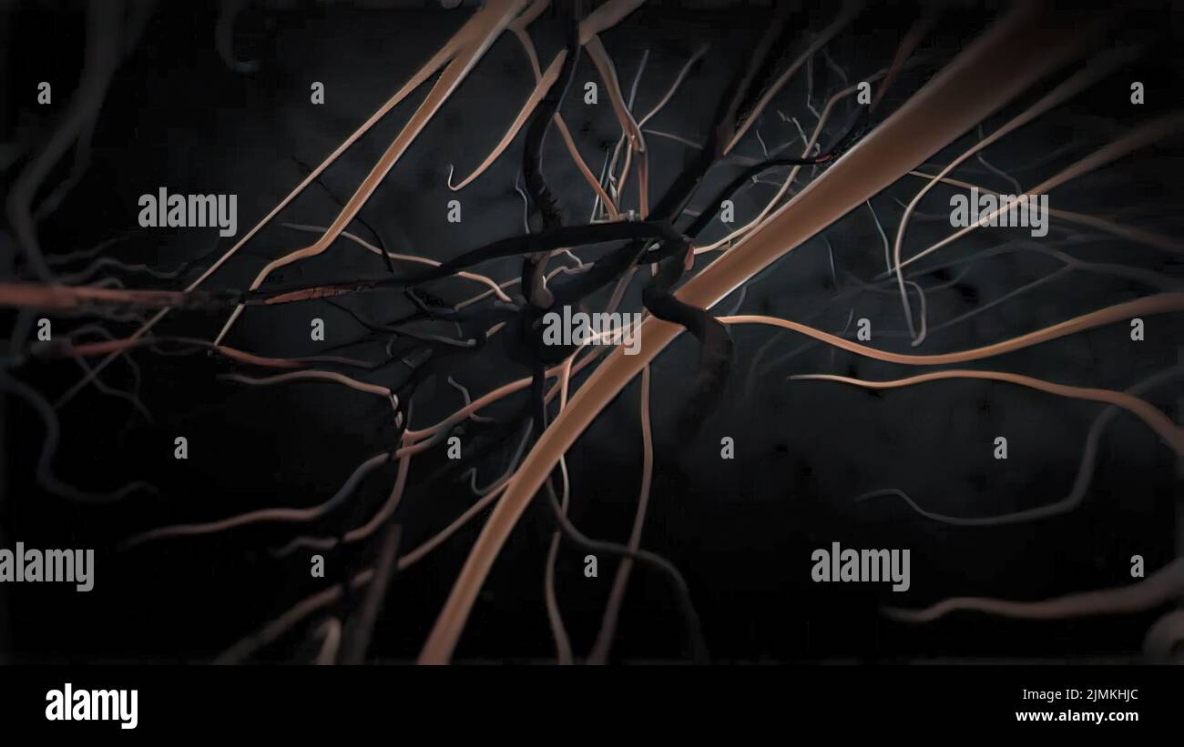 Lost his nerve hi-res stock photography and images - Alamy