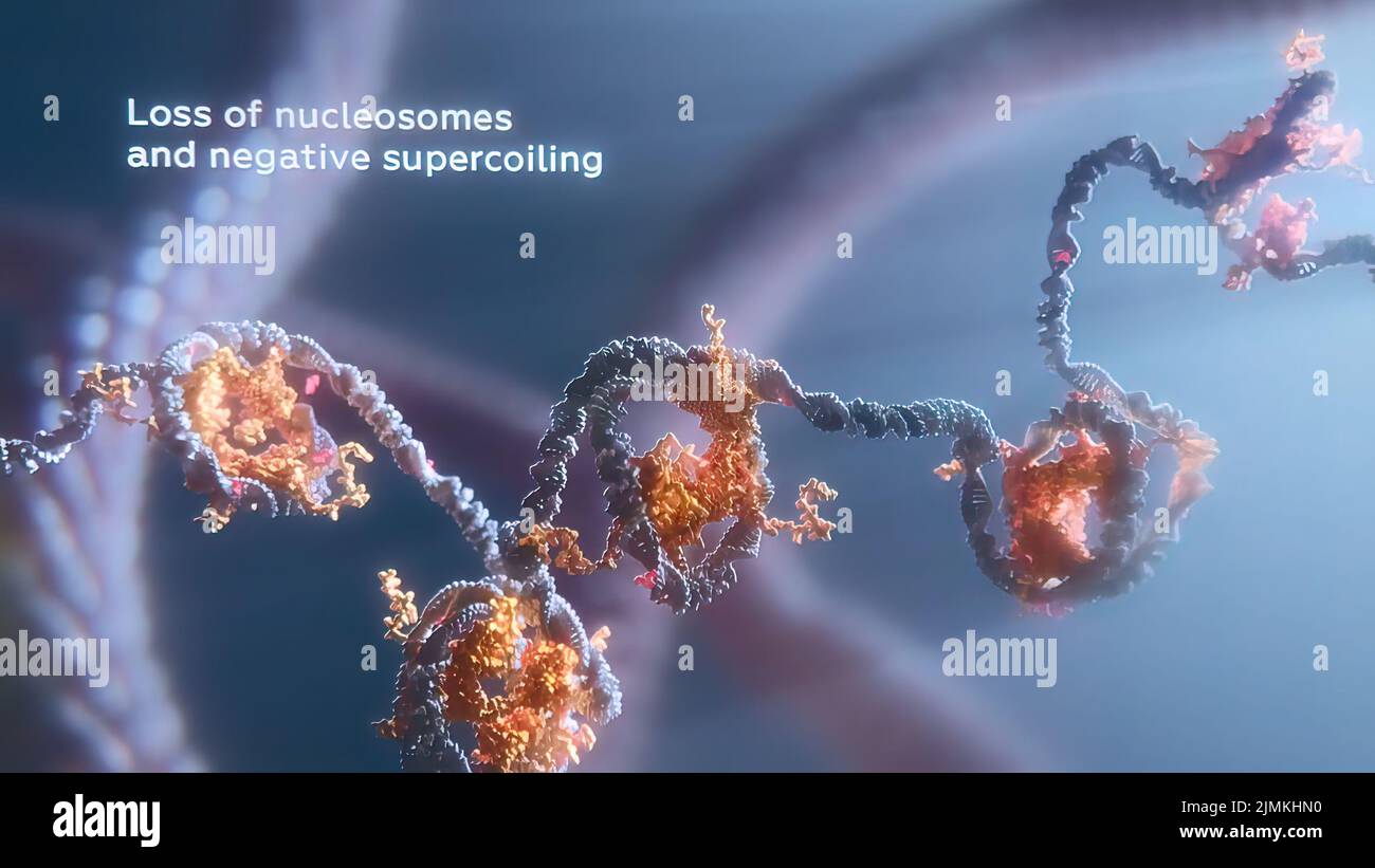 Illustration human dna cells hi-res stock photography and images - Alamy