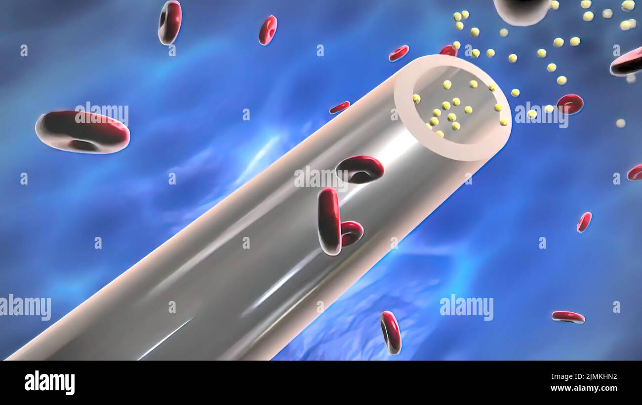 Venous blood cell hi-res stock photography and images - Alamy