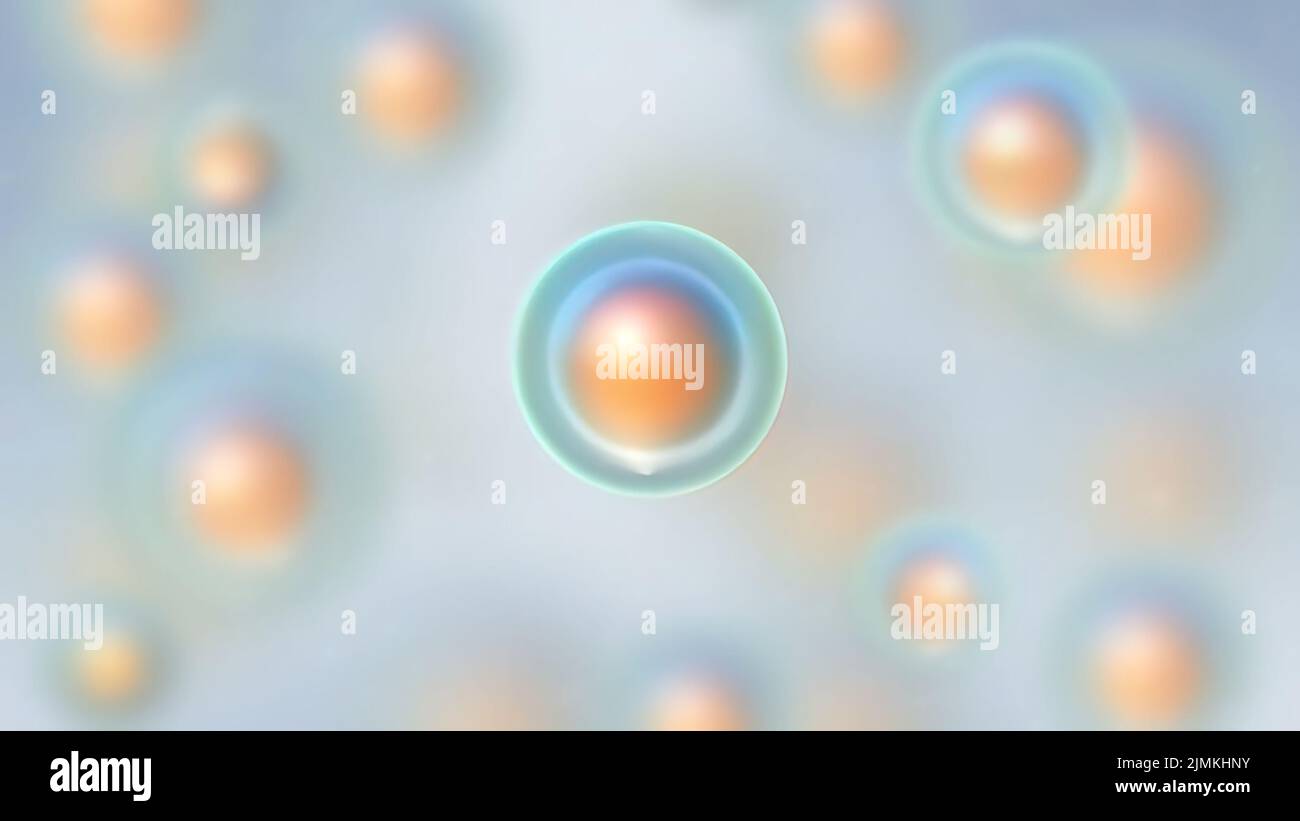 Cell division diagram hi-res stock photography and images - Alamy