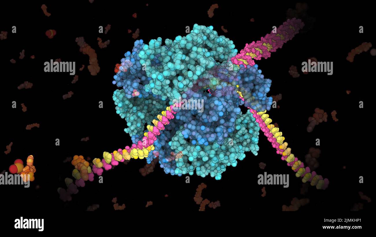 Biological enzymes hi-res stock photography and images - Alamy