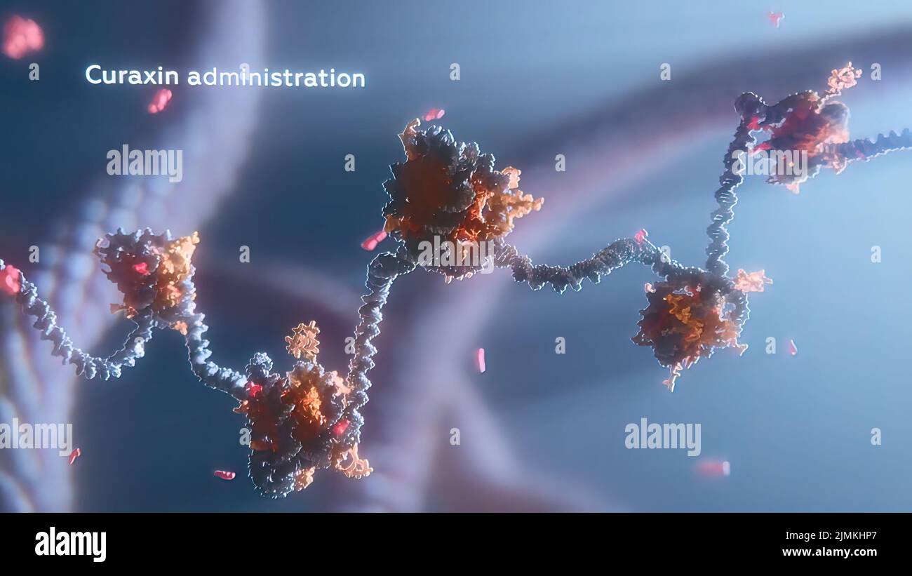 Cells illustration hi-res stock photography and images - Alamy