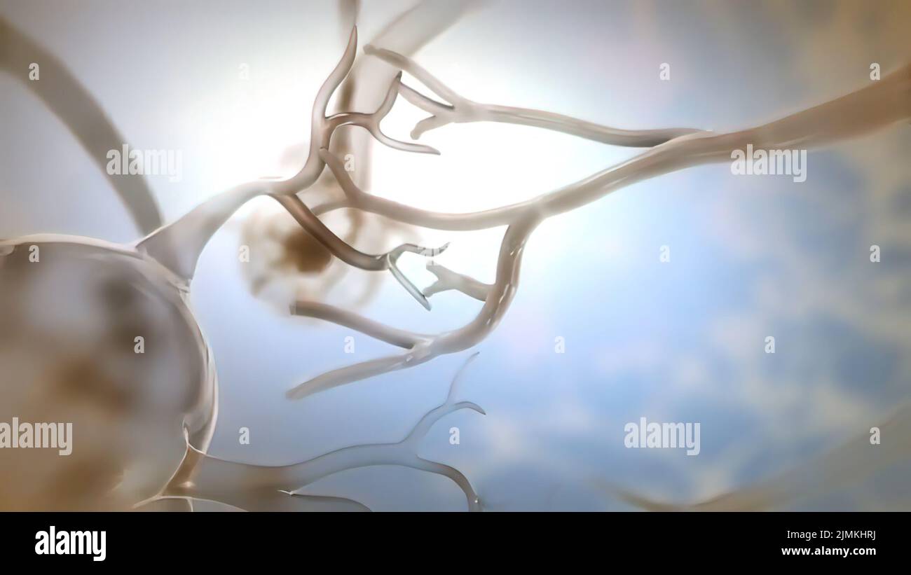 Brain synapses learning hi-res stock photography and images - Alamy