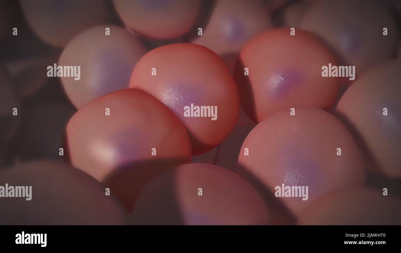 Amylase protease lipase hi-res stock photography and images - Alamy