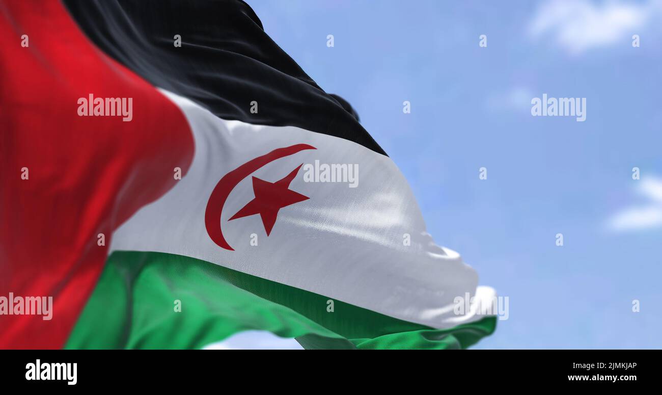 Detail of the national flag of Sahrawi Arab Democratic Republic waving ...
