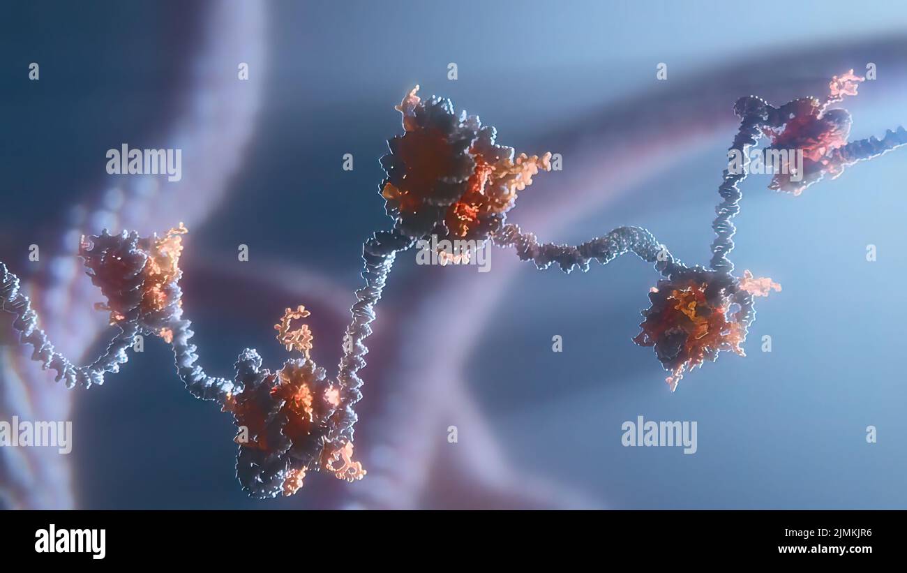 Cells illustration hi-res stock photography and images - Alamy