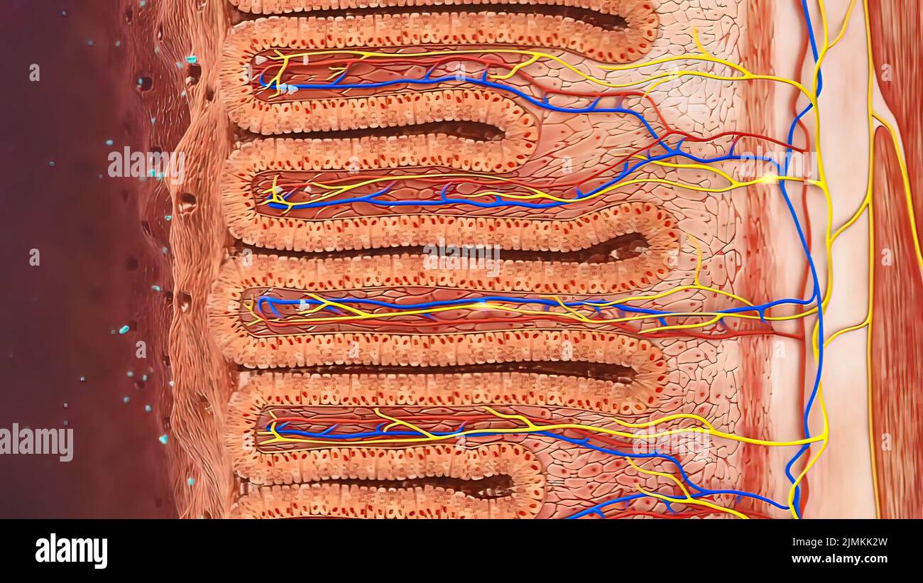 Cleaning cell hi-res stock photography and images - Alamy