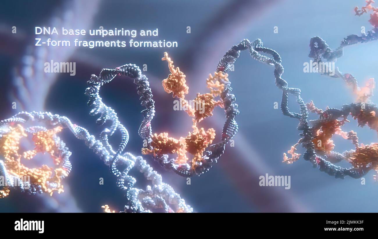 Illustration human dna cells hi-res stock photography and images - Alamy