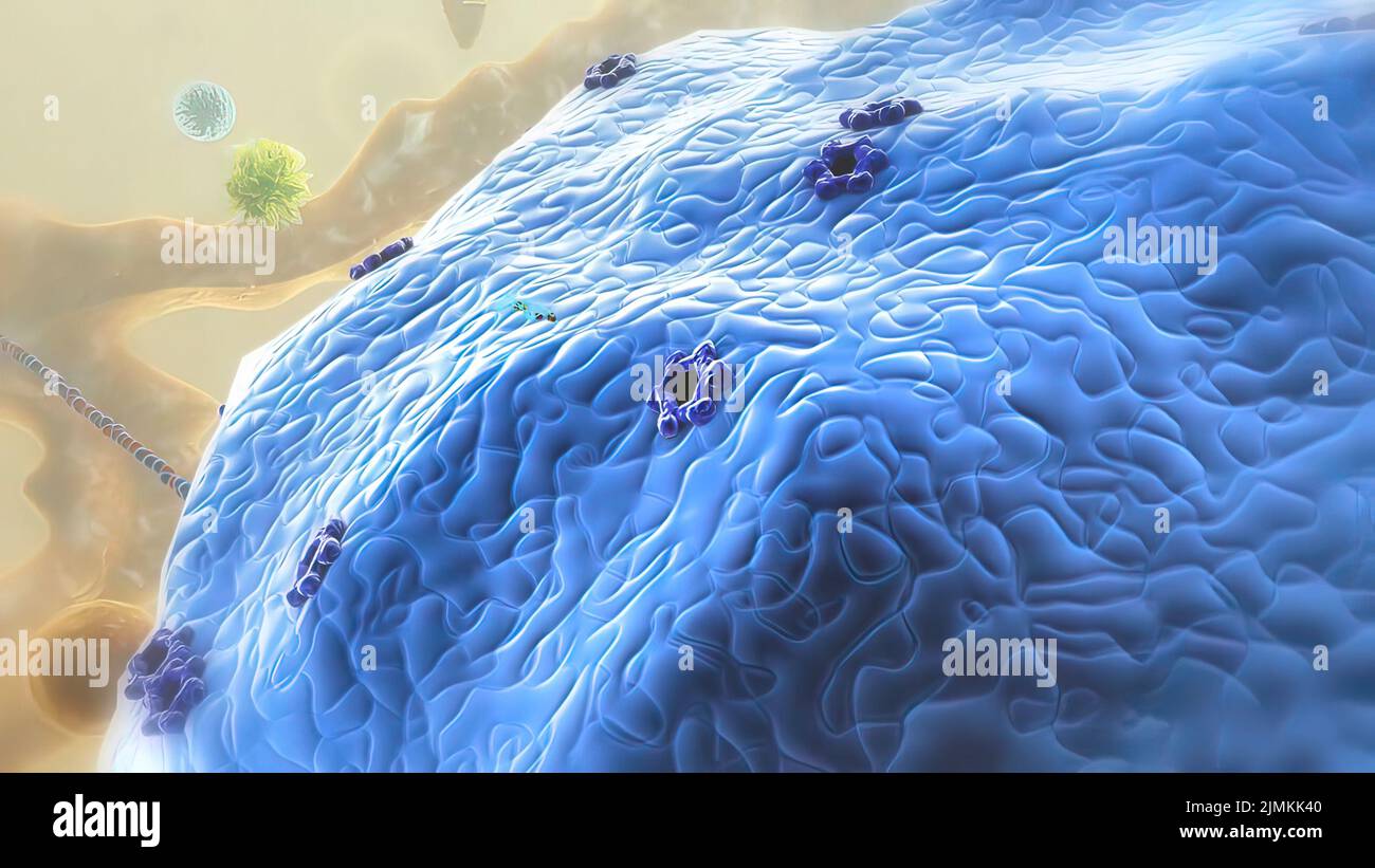 Chromosome 19 hi-res stock photography and images - Alamy