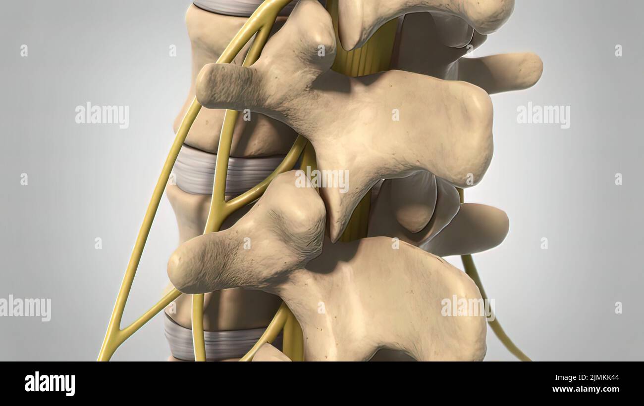 Cervical nerve block hi-res stock photography and images - Alamy